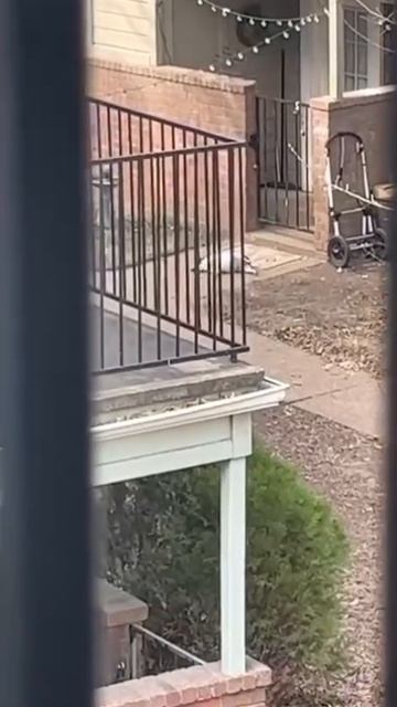 ПРОБЛЕМЫ С ЛИШНИМ ВЕСОМ...