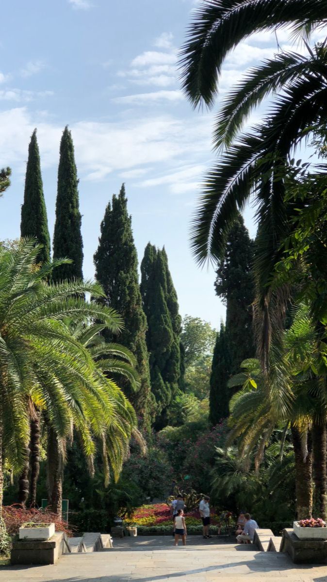 Братья наши меньшие!