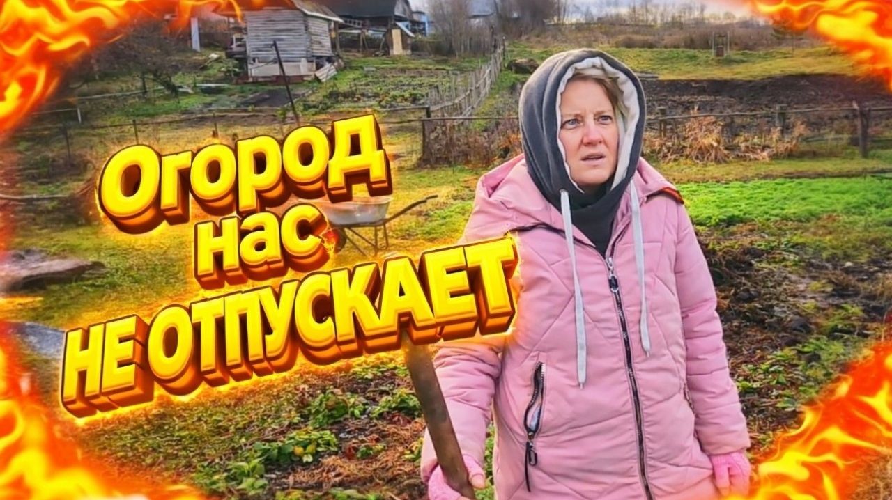 КУПИЛИ ДОМ В ДЕРЕВНЕ | Огород нас не отпускает | Дом в деревне | Деревенские будни