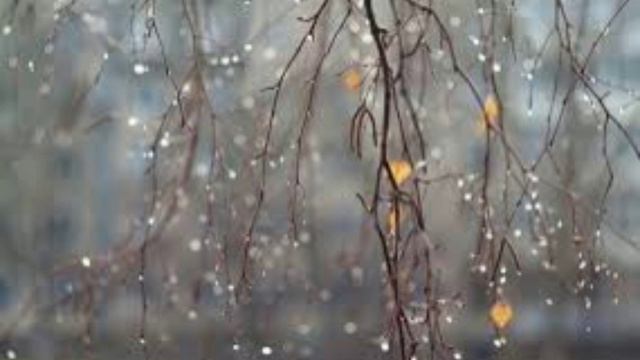 4 апреля - Василий Теплый, Василий Парник, Василий Солнечник