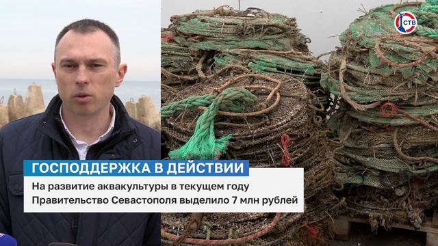 Владислав Шенявский о господдержке устричной фермы в Севастополе