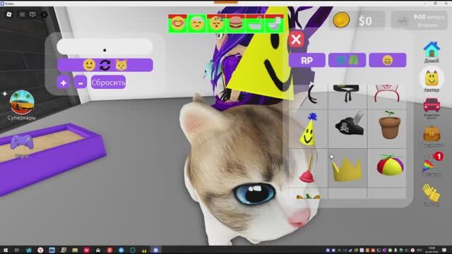 играем в вечеринку с питомцами