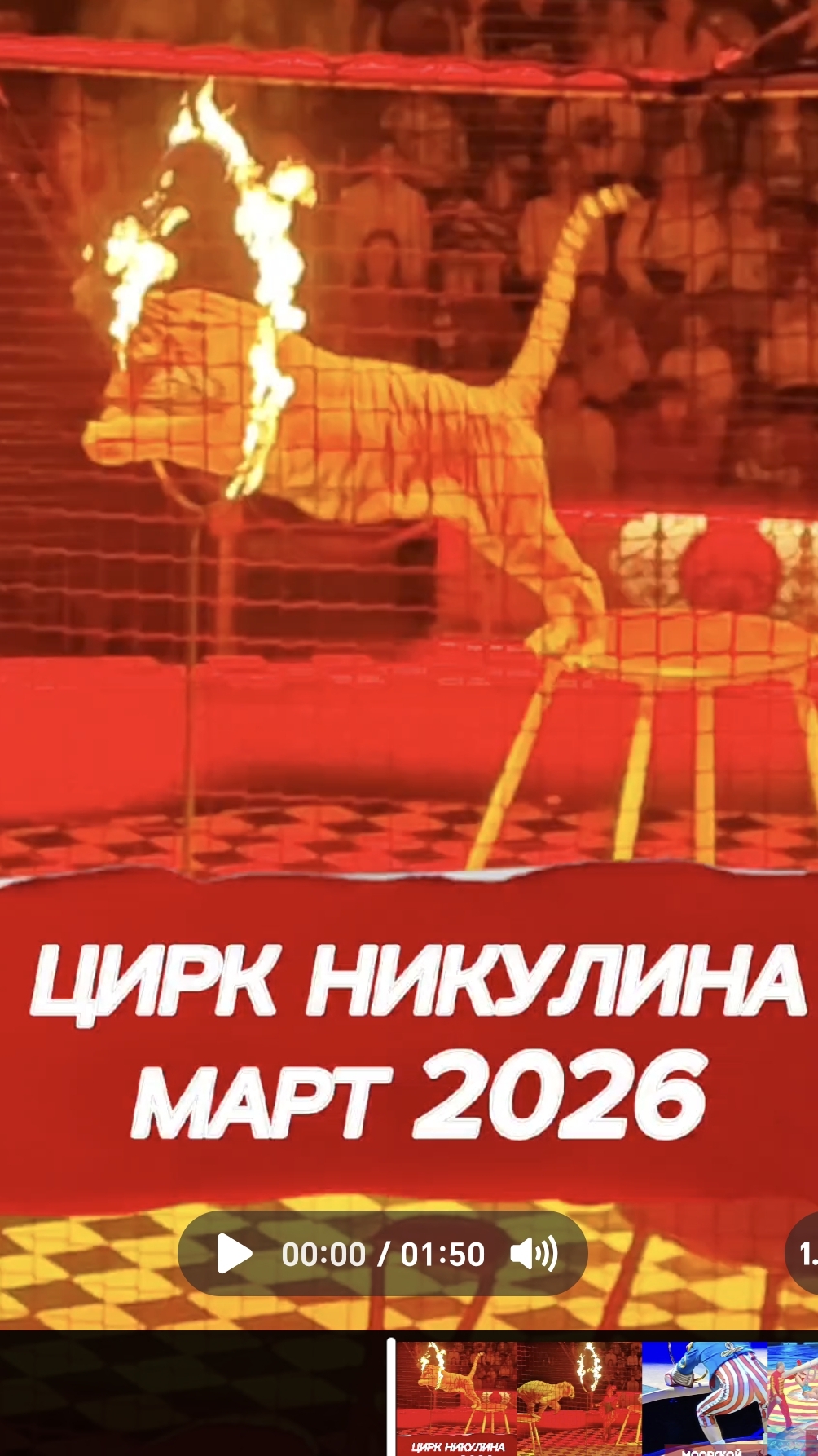 Цирк Никулина на Цветном, март 2026