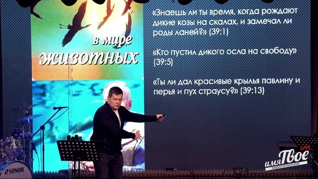 Мамченков Дмитрий  | Книга Иова