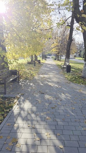 осень2025. Владикавказ