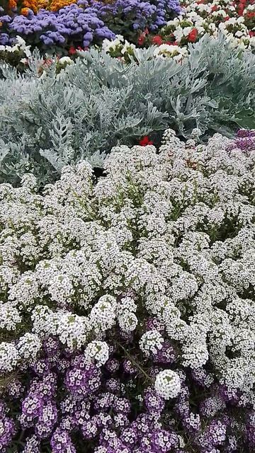 Цветные узоры