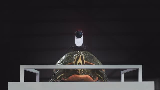 Лернерт Энгельбертс и Сандер Плуг сняли ролик для Sony Action Cam, чтобы показать её мощный слоумо.