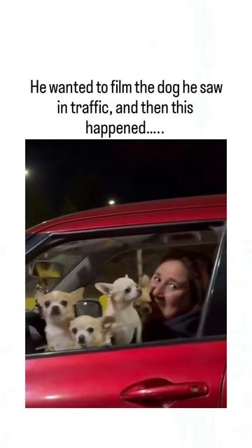 Позвал братву на помощь