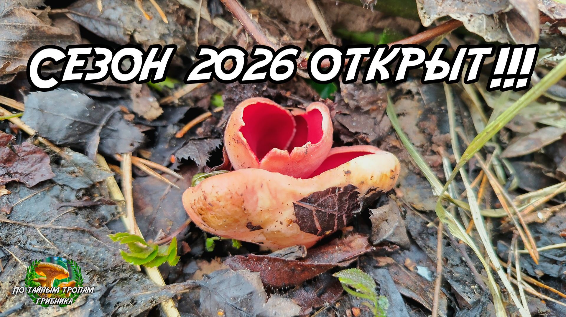 Ура товарищи! Сезон 2026 открыт!