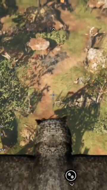 Управляемая Сова игра Far Cry Primal