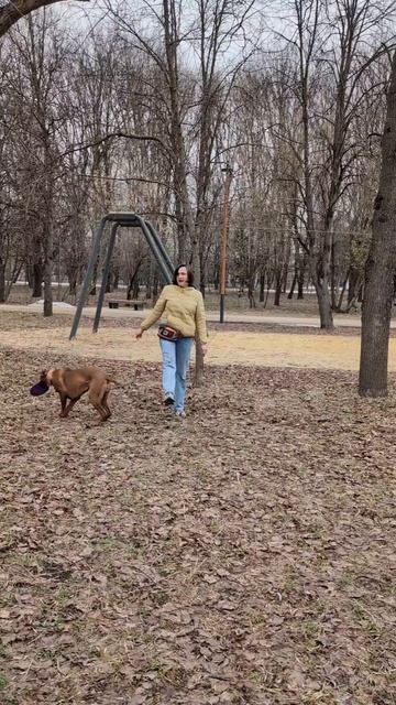 Риджбек Айна - барьер через ногу с отдачей диска из руки