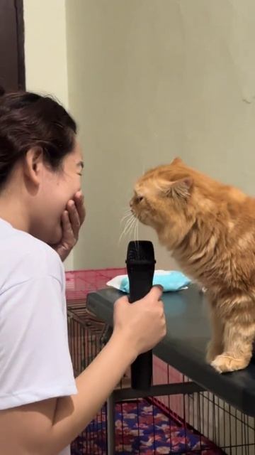 хозяйка, лучше бы ты не пела)