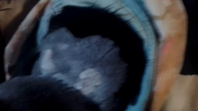 Супер Смэш Брос серия 224 Красная Шапочка