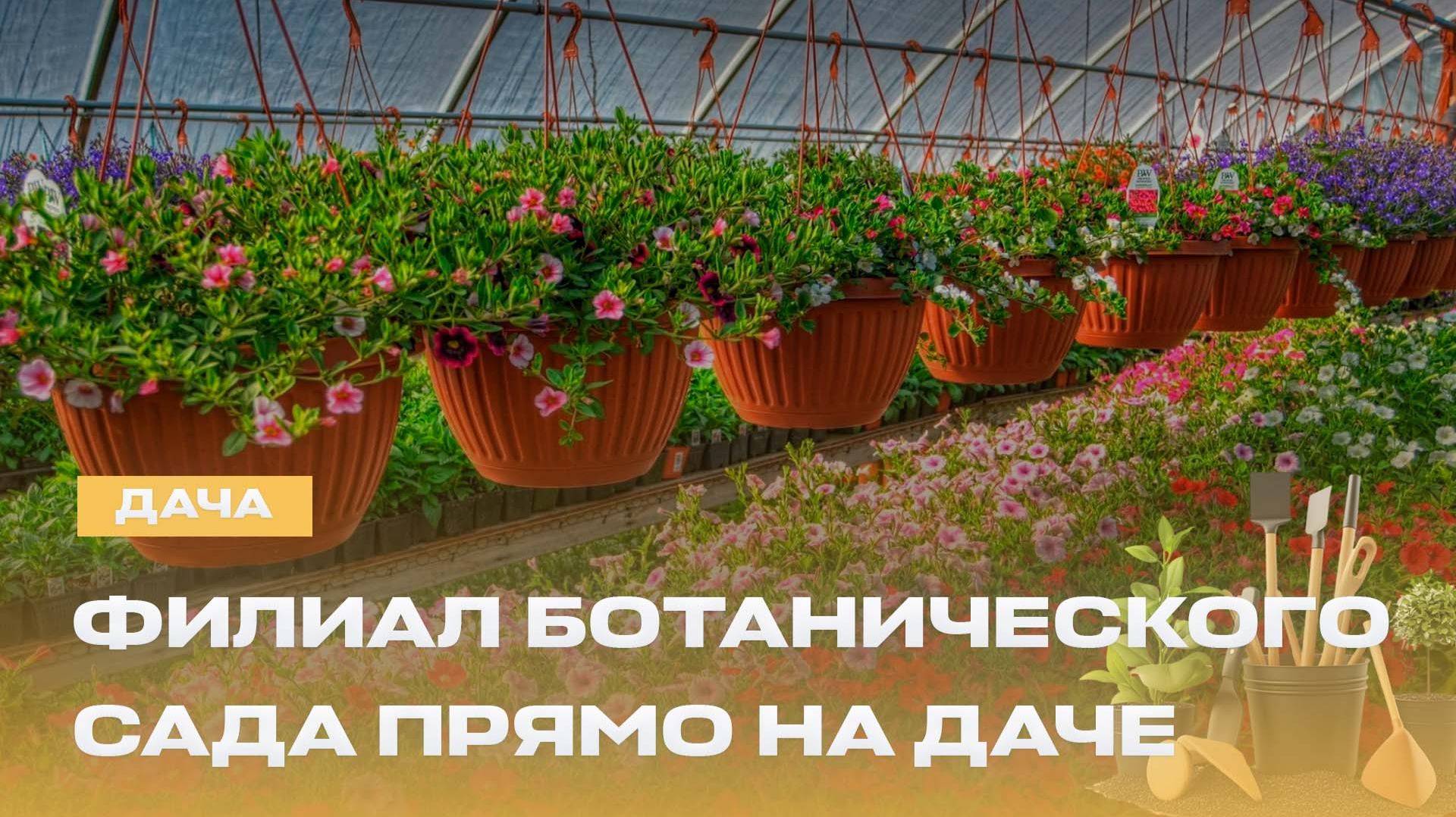 Когда начинается цветочный сезон? | Защита грунта от болезней | Секреты подкормки цветов | Дача