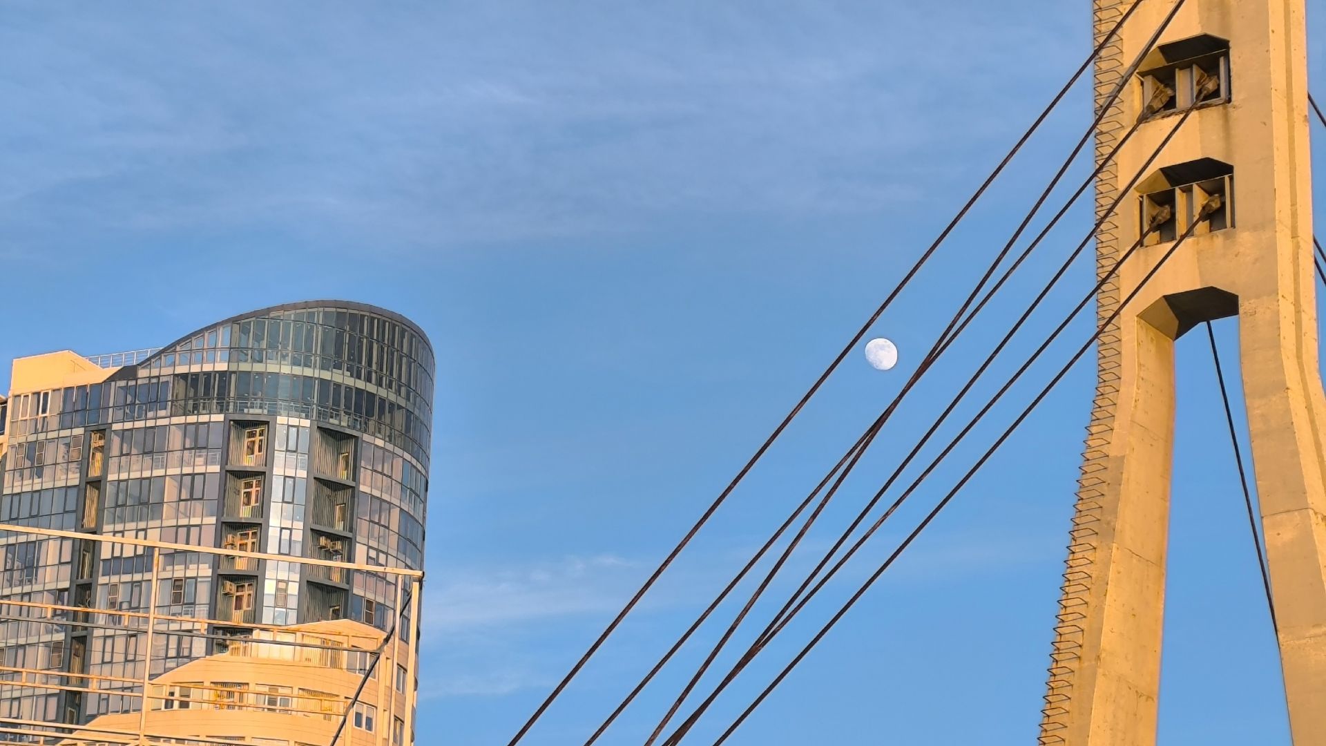 Цветут вишня, слива, магнолии