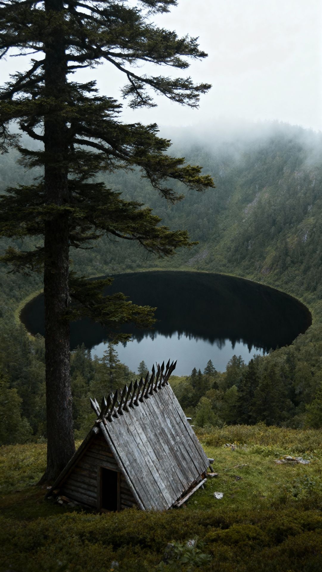 На краю Империи: 🌄Братство Спящего Барса. Глава 4: Шаман с Озера Слёз. Слушайте на канате.