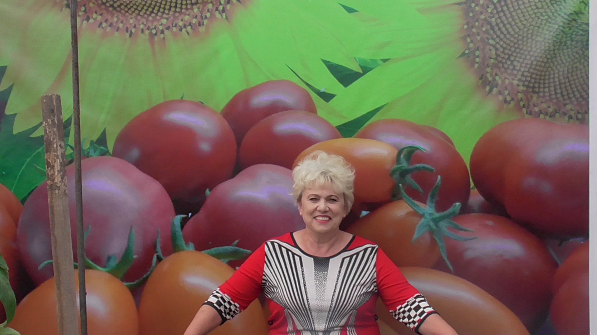 Очень неприятная ситуация с ДЗЕНОМ! Только мои видео не открываются или другие тоже?