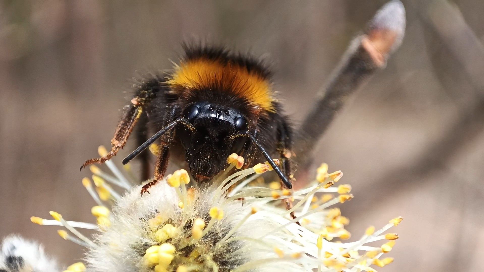 Экотерапия 78 серия.