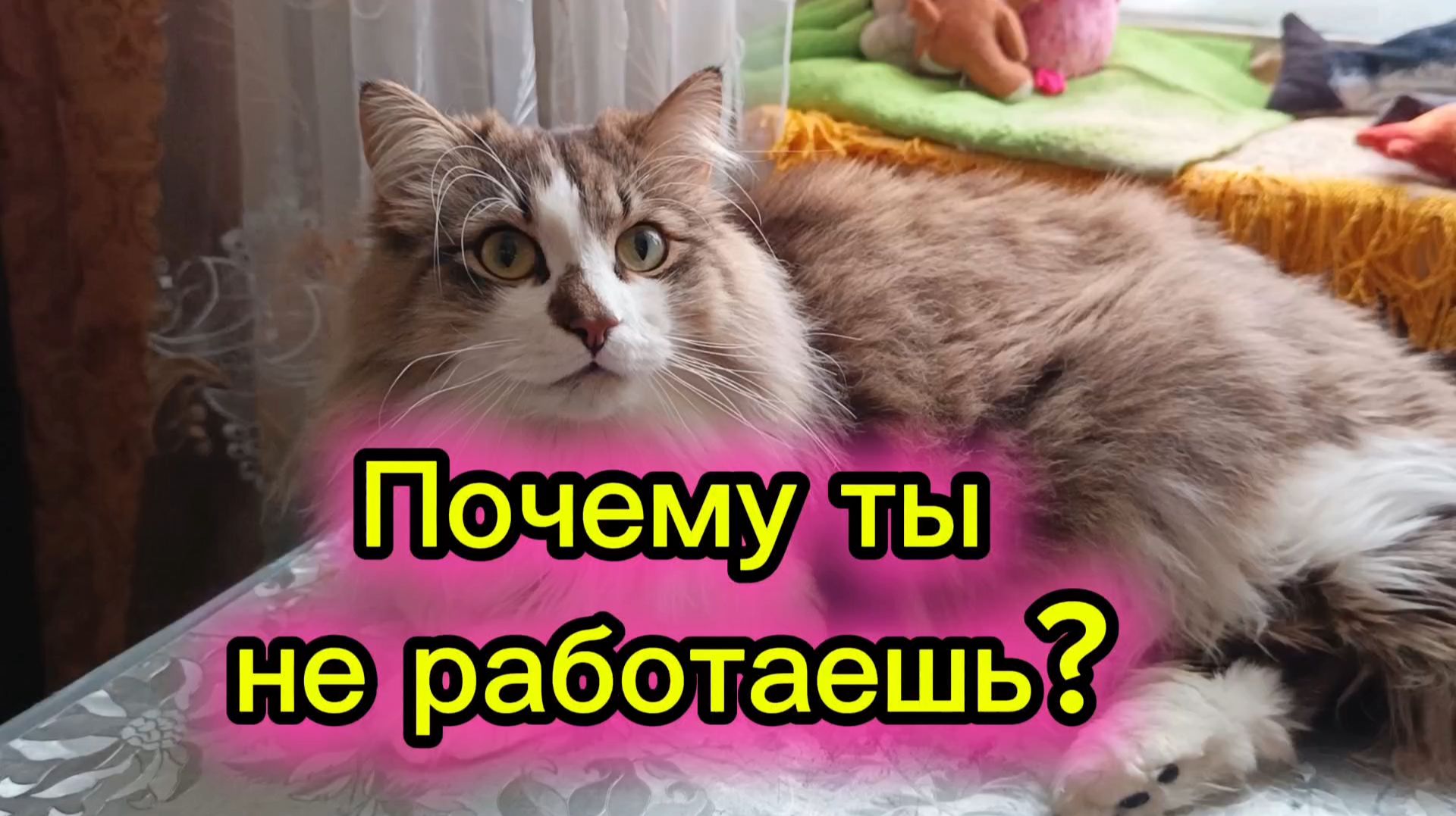 КОШКИ С ОЗВУЧКОЙ.