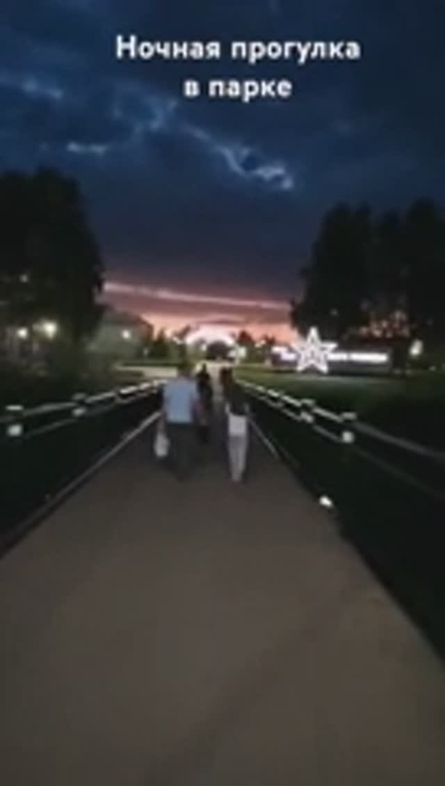 Парк ночь фонарь прогулка 2024