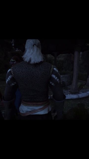 Квест "Вопрос жизни и смерти"- встреча с Вигельбудами | #witcher3 #games #rpg