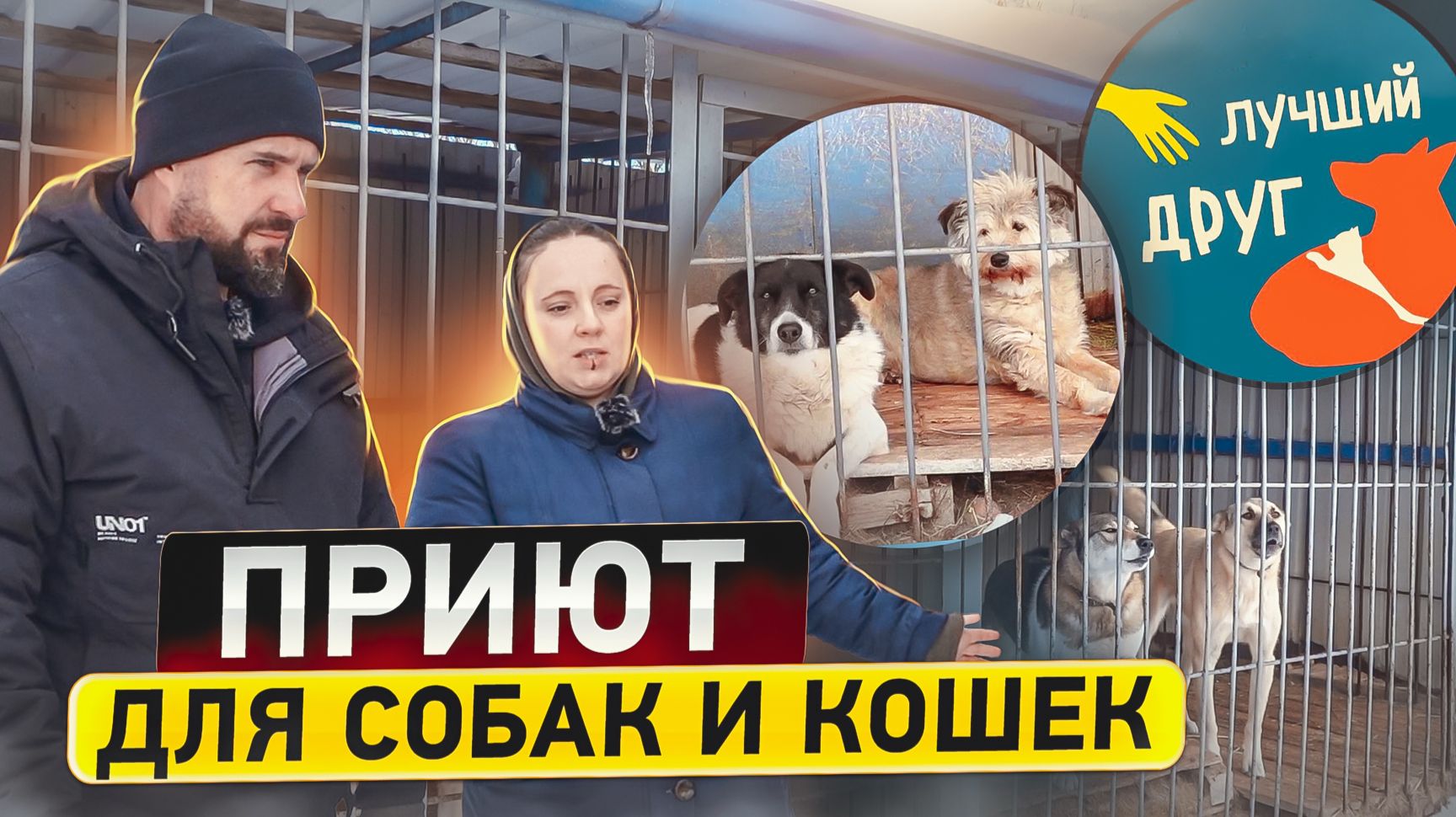 Приют для животных «Лучший Друг» в Тюмени: экскурсия, условия содержания и помощь бездомным собакам