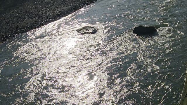 Терек. Осенний Владикавказ2025