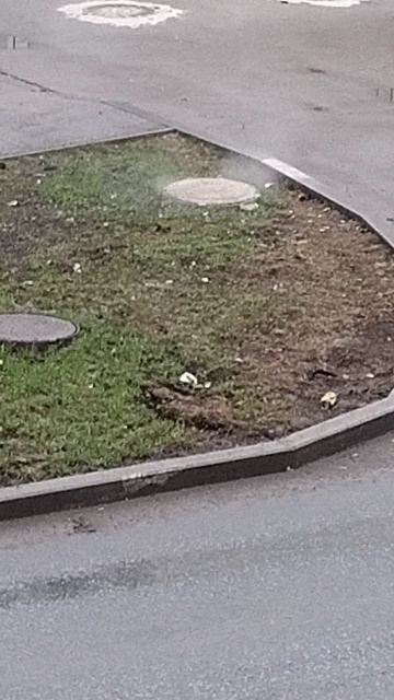 №2052 ул. Газеты Звезда. 4 апреля 2026 г., 8:47:49 VID_20260404_084719575