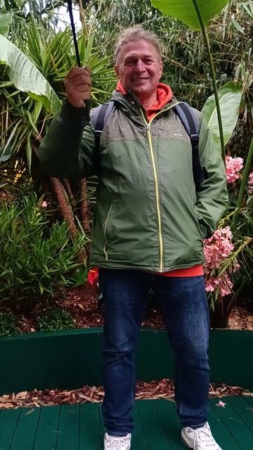 Сад и огород, откройте перечень услуг от специалистов, см описание, нужно пишите,