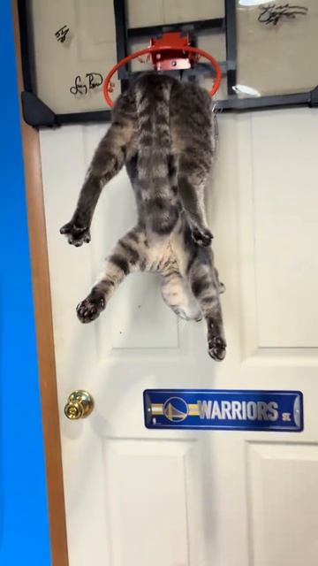 Он сам не понимает, как там оказался