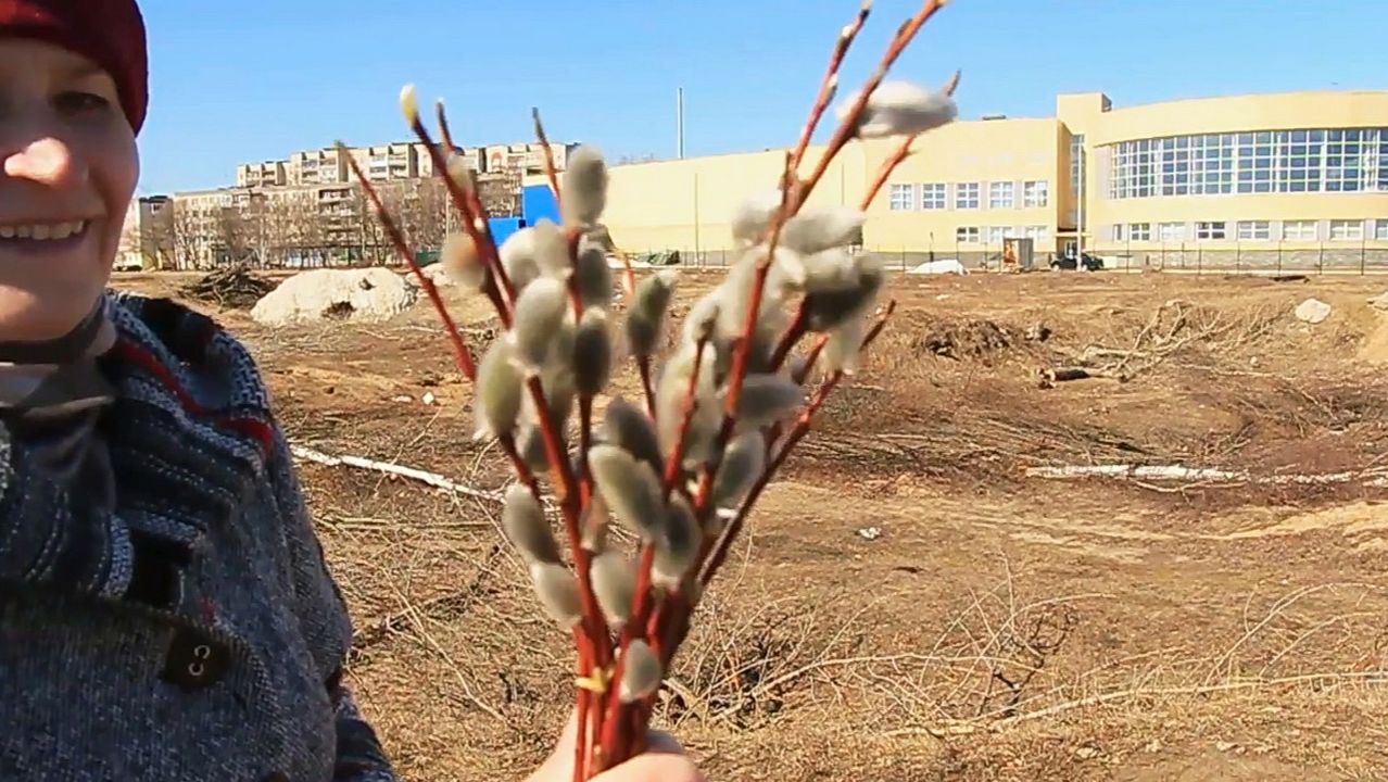 ВЕРБНОЕ ВОСКРЕСЕНЬЕ! ДЗЕРЖИНСК 2014: «ОЖИДАНИЕ ПАСХИ - ветреные каникулы на Окской набережной!»