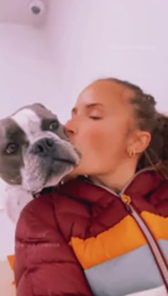 подборка ревнивых пёсиков