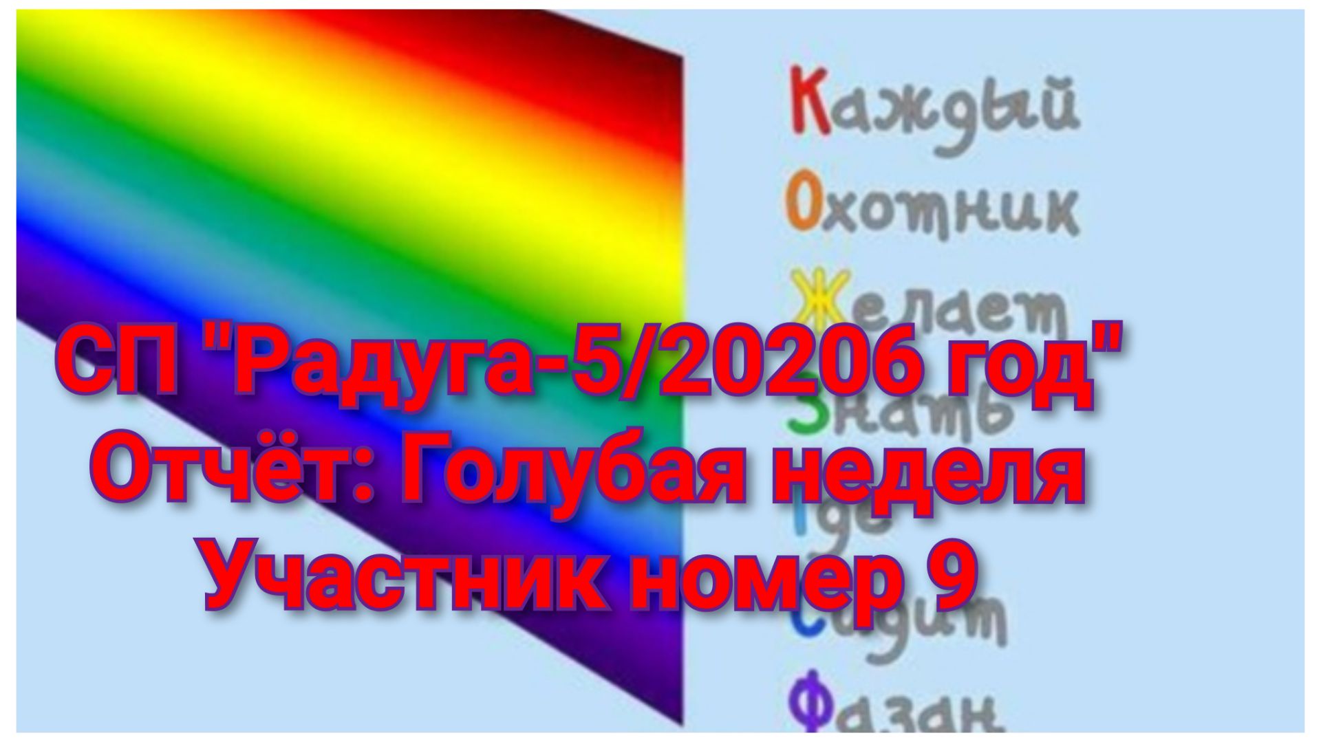 СП "Радуга-5/2026 год// Отчёт Голубая неделя// Участник номер 9