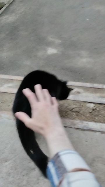 PXL_20260404_055748111