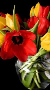 Не мёд. Песня на стихи Раисы Йилдырим