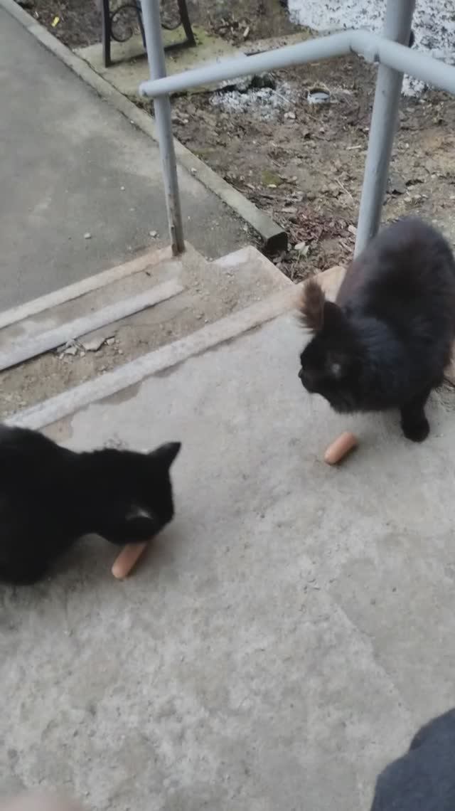 PXL_20260404_055615343