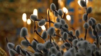 Д/ф."ВЕРБНОЕ ВОСКРЕСЕНИЕ."