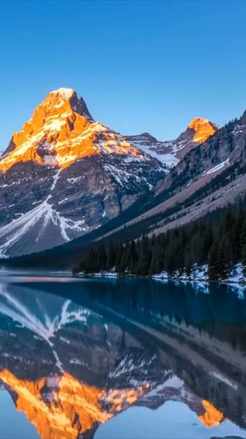 Снежные вершины горы Белуха (Уч-Сумер)#shorts