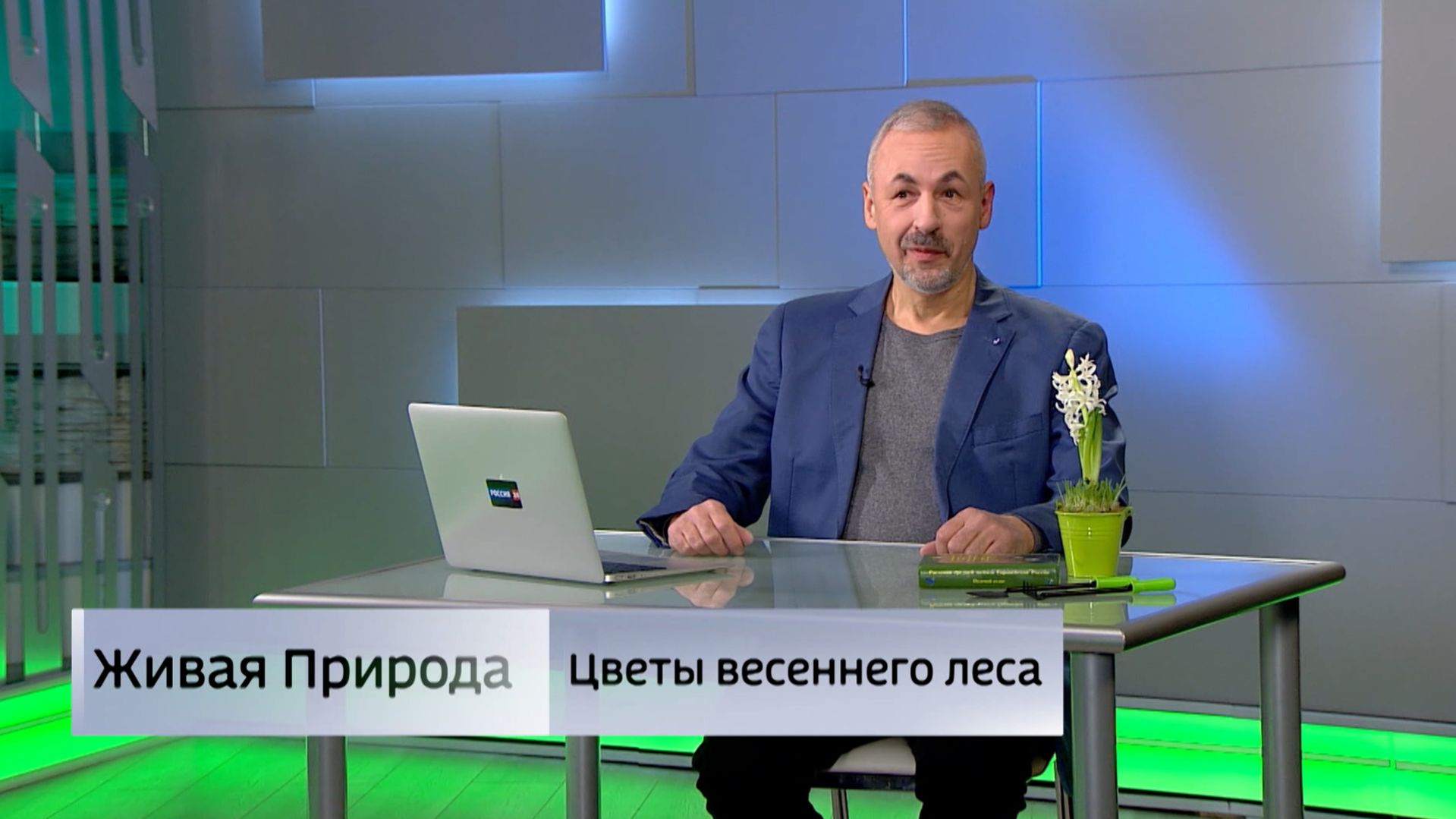 Живая природа. "Цветы весеннего леса"