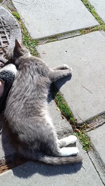 Набережная Алушты. КРЫМ...