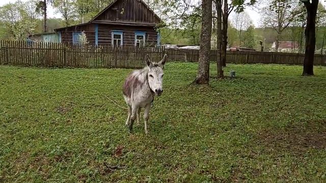 АРХИВ 19-Й ГОД. НАШ МОКРОВСКИЙ ОСЕЛ.