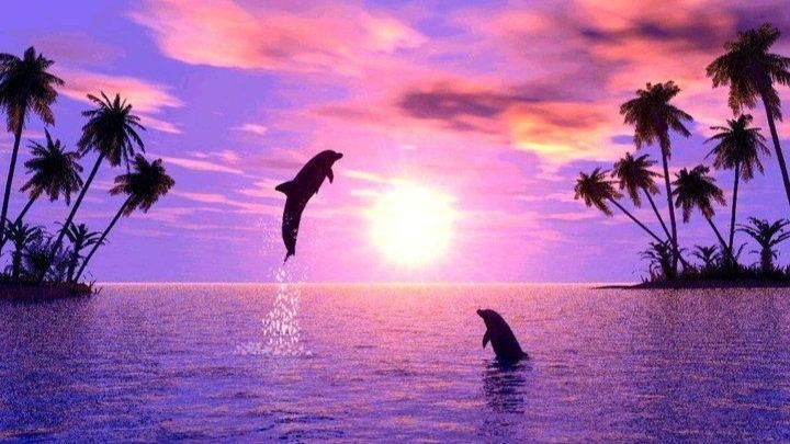 Спокойная лечебная музыка - звуки природы - шум моря с дельфинами