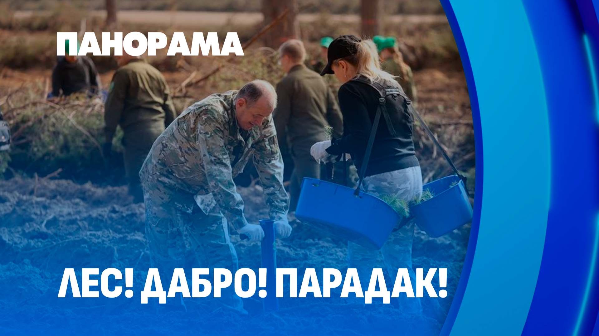 "Лес! Дабро! Парадак!": Тысячи белорусов выходят на посадку нового леса! Панорама