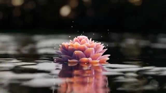 Самая Важная и Мощная Матрица П Гаряева По Эндокринной Системе Человека