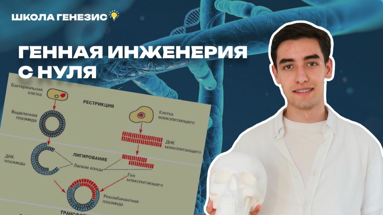 ГЕННАЯ ИНЖЕНЕРИЯ ДЛЯ ЕГЭ ПО БИОЛОГИИ С НУЛЯ | Школа Генезис