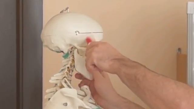 Чтобы голова перестала болеть вот это упражнение сделай один раз.