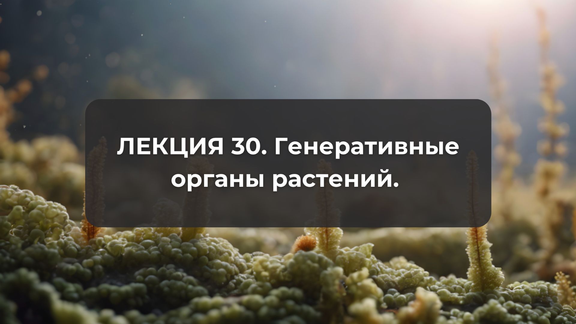 Лекция 30. Генеративные органы растений.