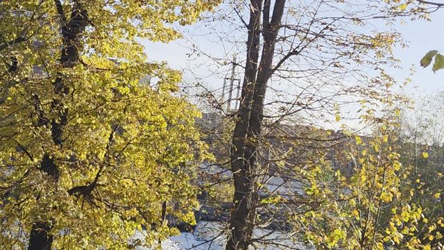 Золотая осень. Парк 2026. Владикавказ