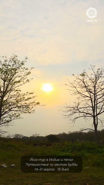 Йога-тур в Индию и Непал