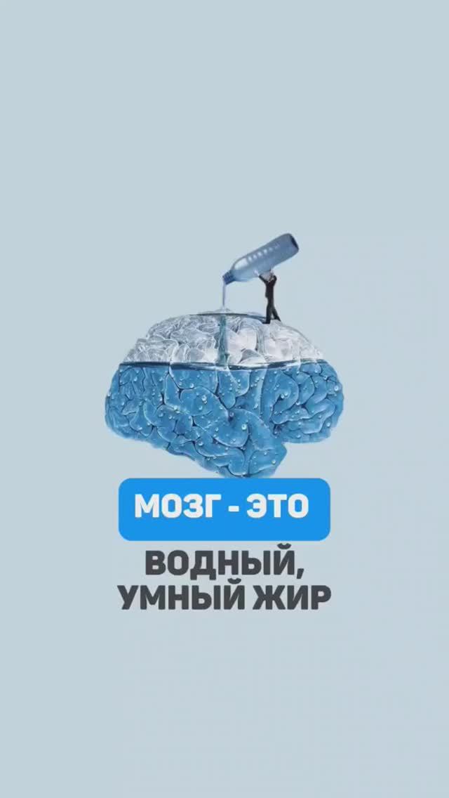 Мозг- это водный умный жир. Семейный доктор Алена Братишко